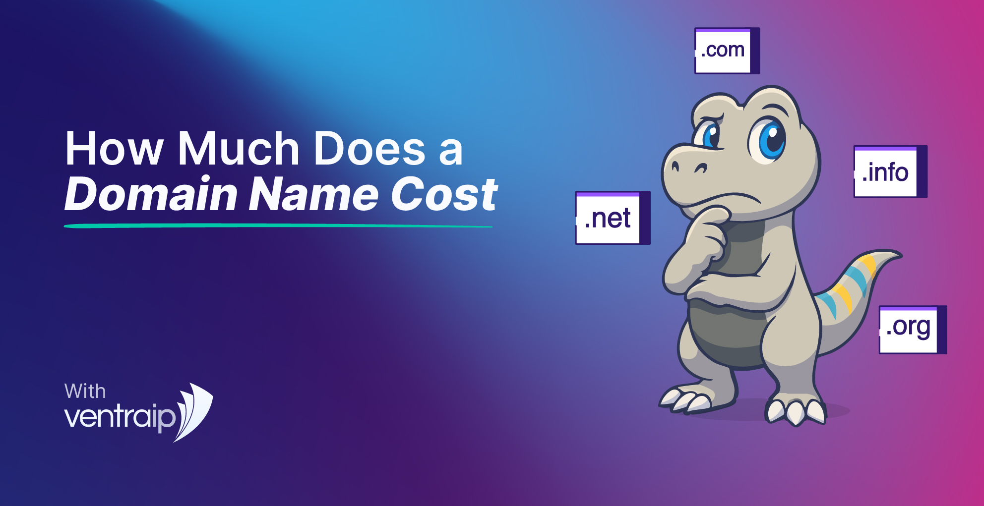 How Much Does a Domain Name Cost? | VentraIP Blog